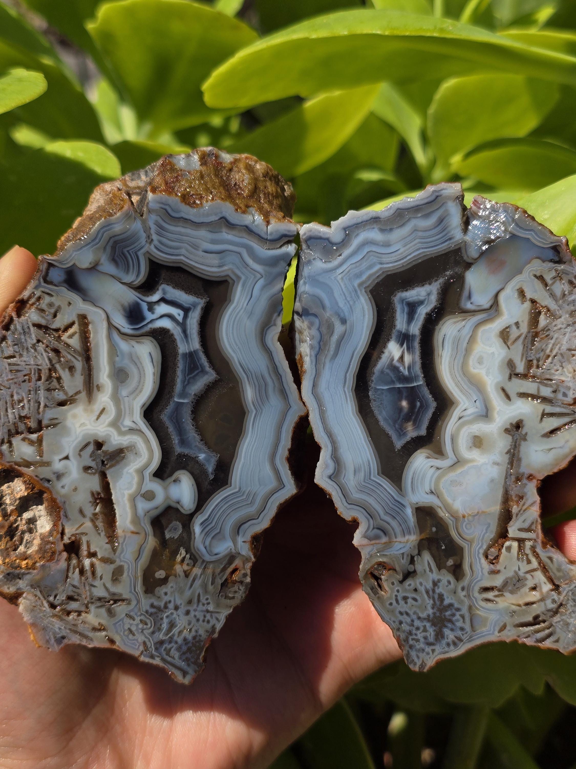 Blue Banded and Sagenite Agate, Fortification Agate, Rocks and Minerals ...