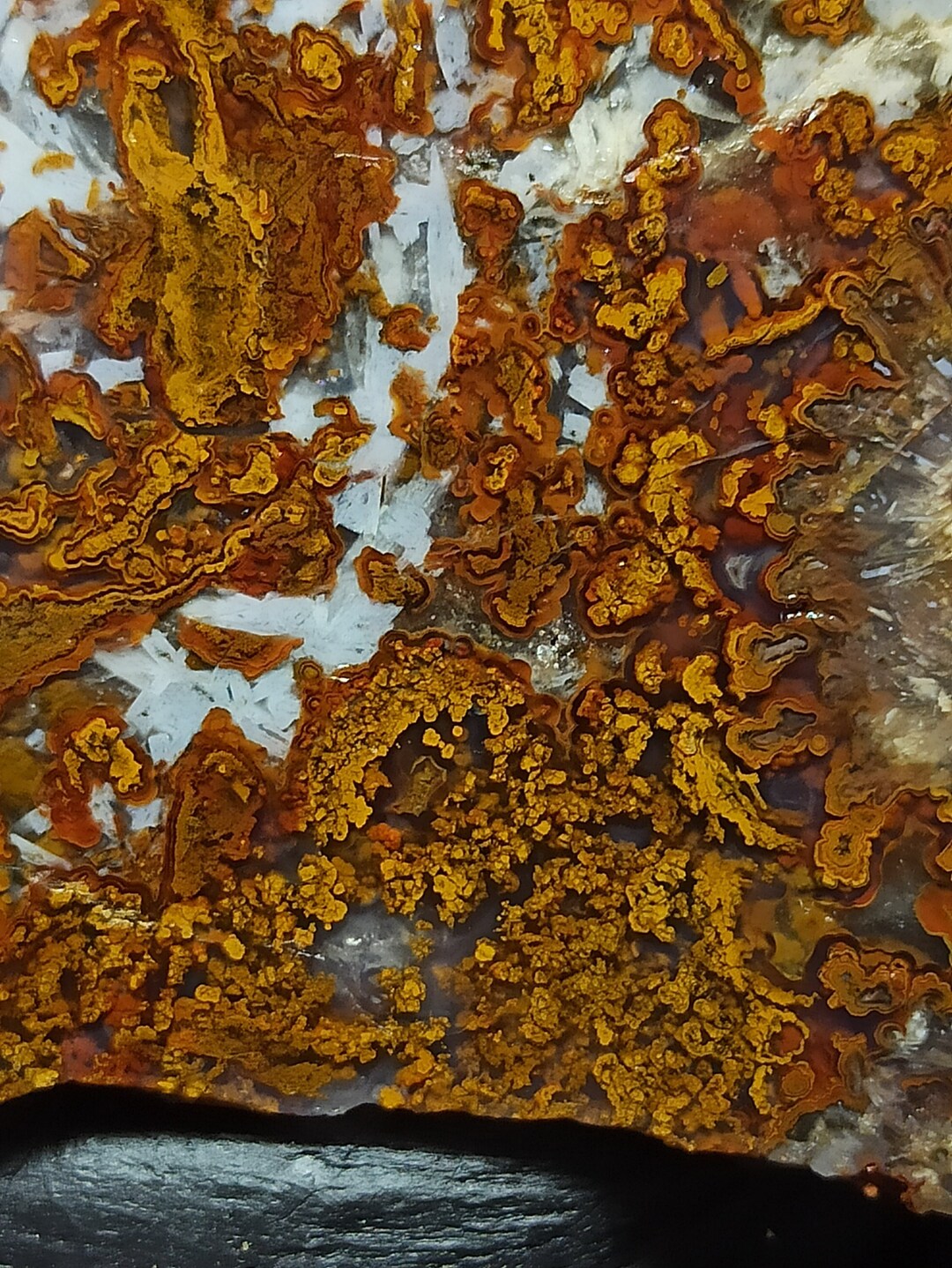 Orange Moss and Plume Agate, White Moss Agate, Türkei Achat, Cut and ...
