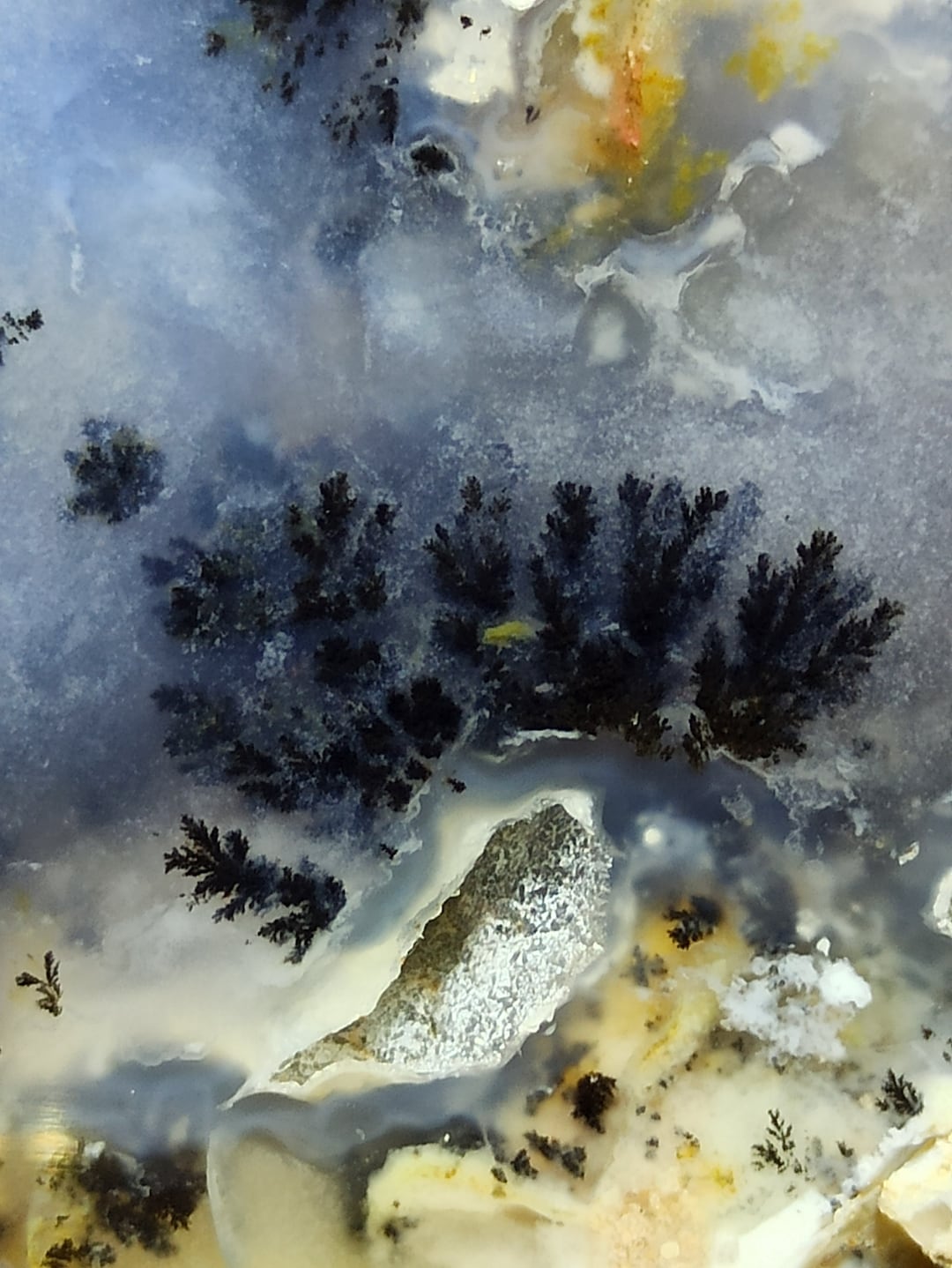 Dendritic and Plume Agate Slab, Blue Polished Turkish Agate Slice ...