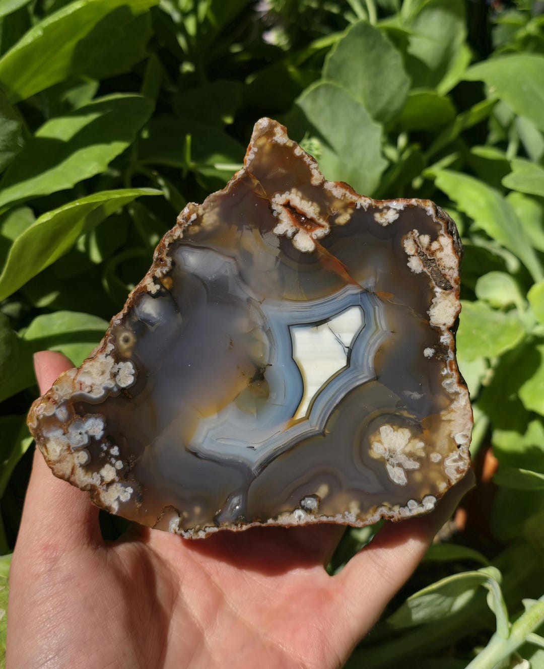 Blue and White Banded and Flower Agate, Snowflake Agate, Waterline ...