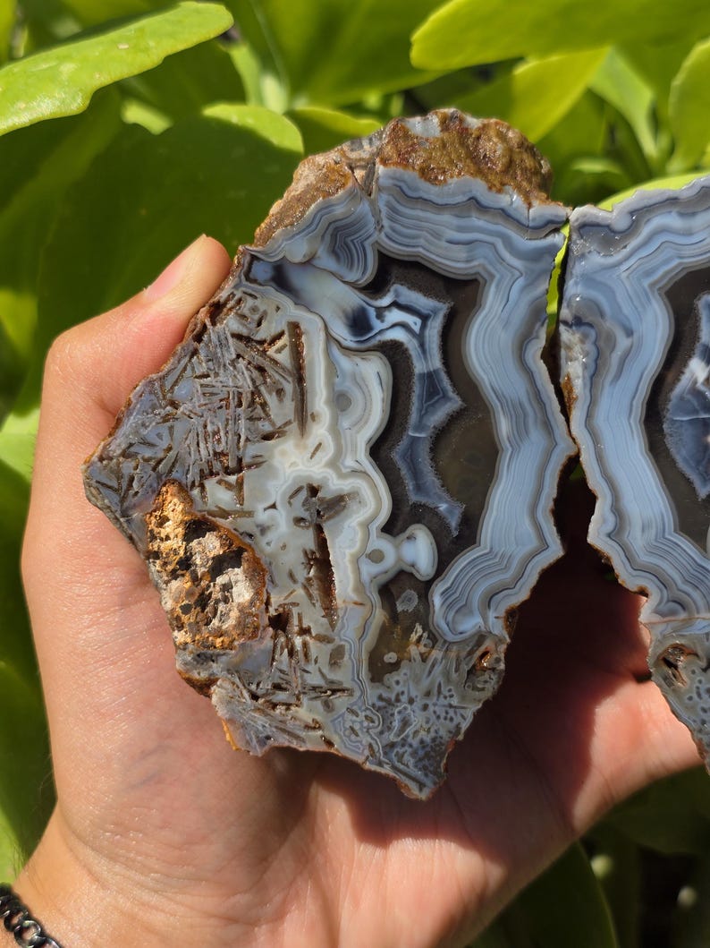 Blue Banded and Sagenite Agate, Fortification Agate, Rocks and Minerals ...