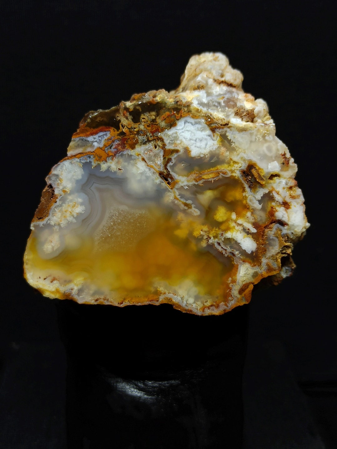 Petrified Wood With Rainbow Agate Stone, Unique Tree Fossil, Turkish ...