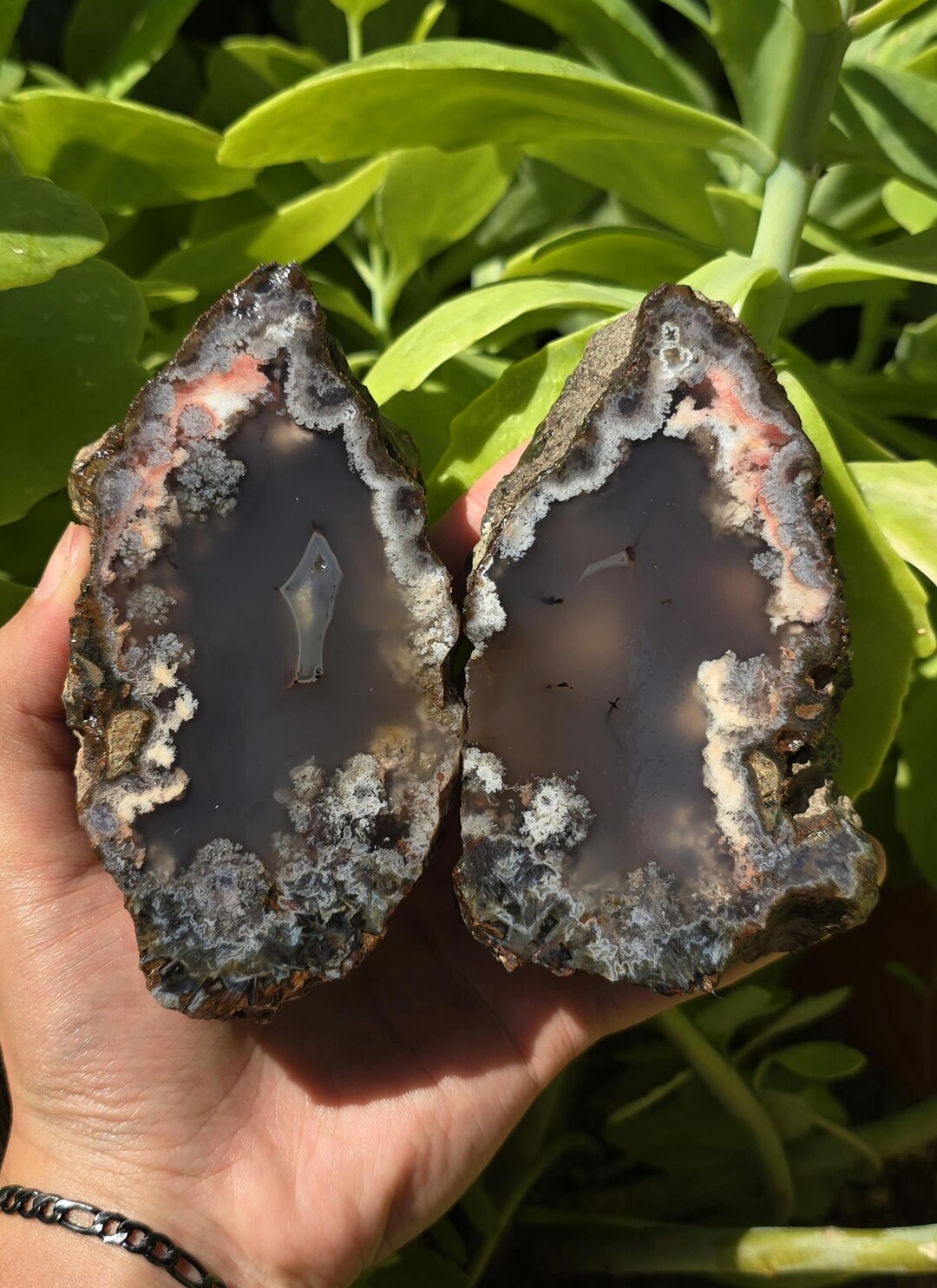 Banded and Flower and Snowflake Agate Pair, Banded Cut and Polished ...