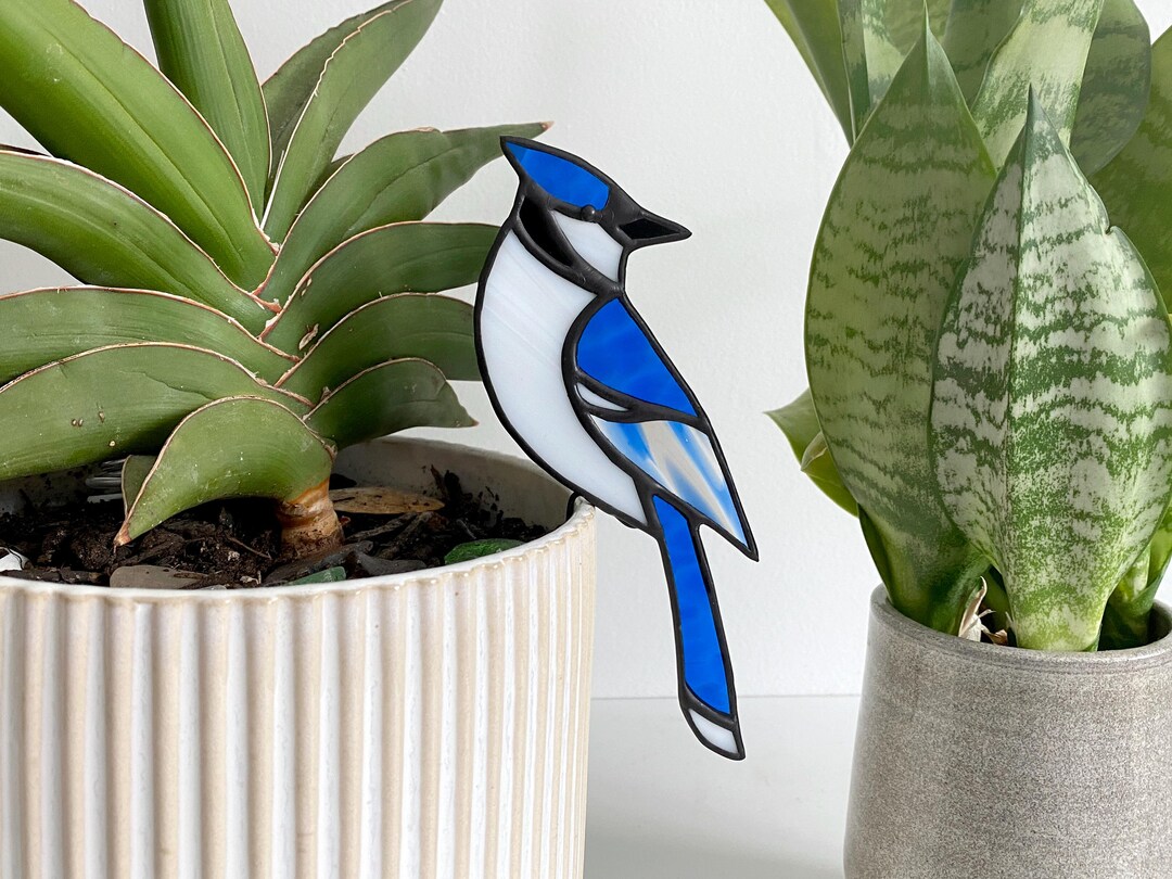 Stained Glass Blue Jay Plant Pot Hugger, Blue Jay Suncatcher Stained ...