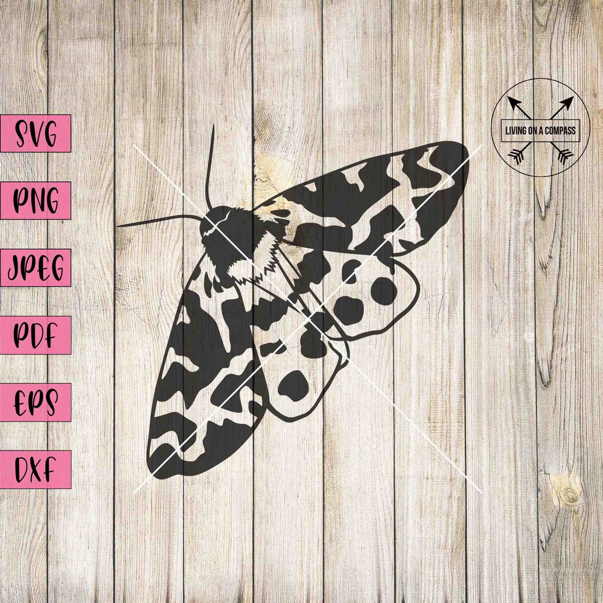 Moth Png Moth Clipart Moth Decor Moth Decal Moth Enamel - Etsy