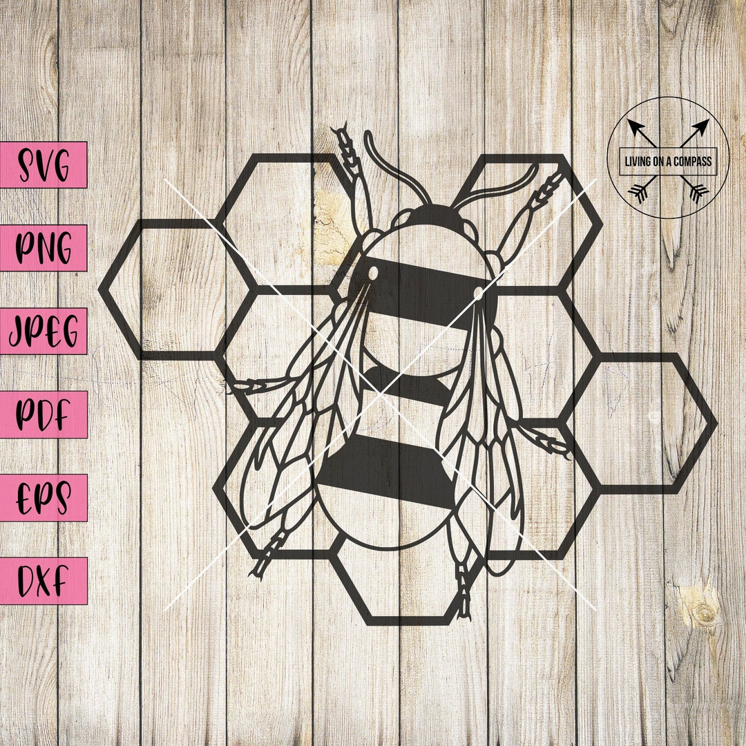 Bee Svg, Hive Svg, Insect Svg, Bee Hive Svg, Bumble Bee Svg, Bee ...
