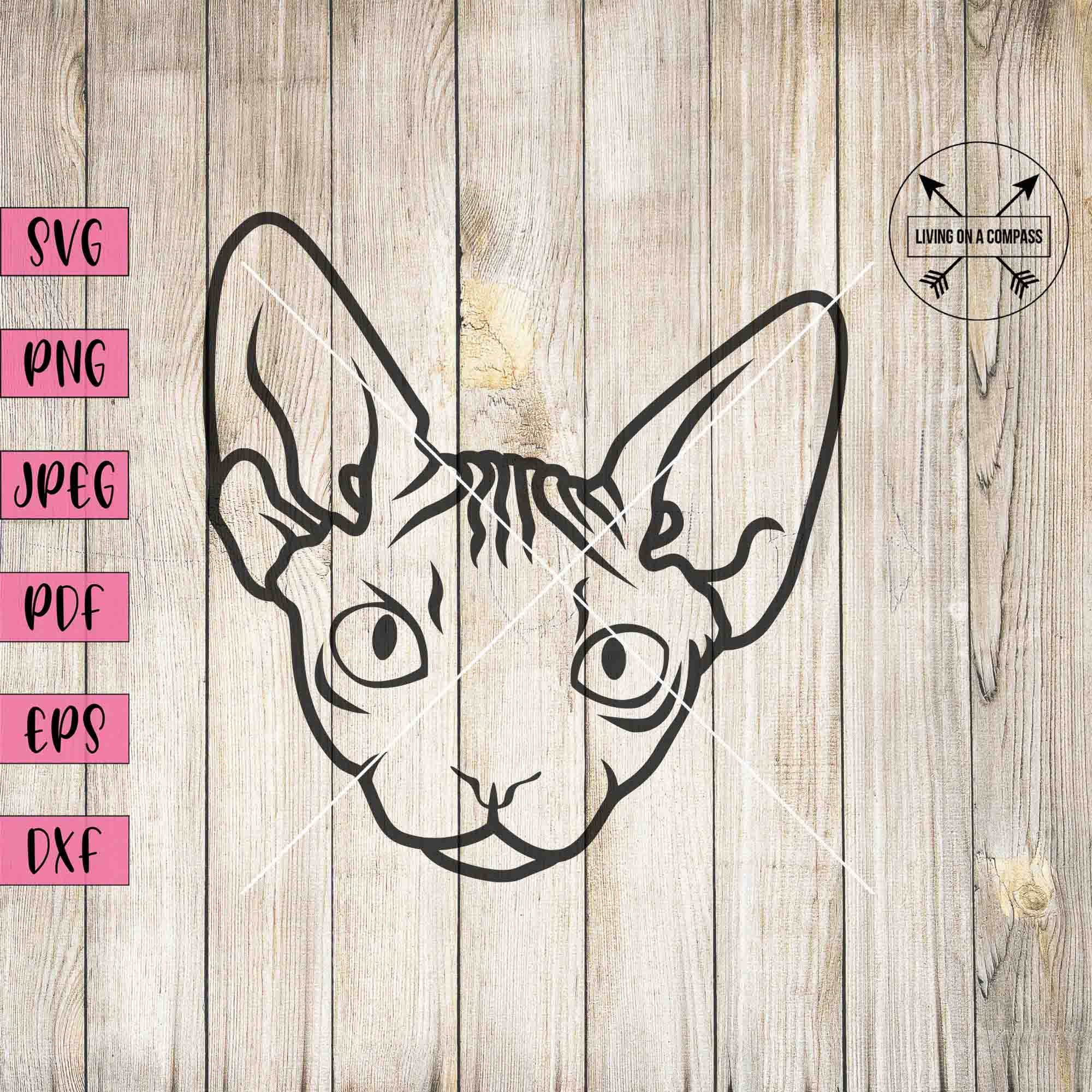 Sphynx Cat Svg, Hairless Cat, Cat Svg, Cat Png, Cat Clipart, Cat Art ...
