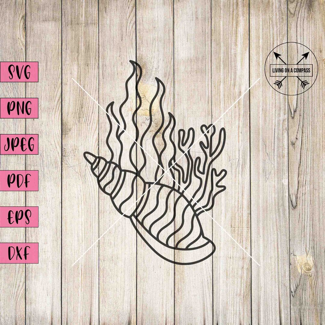 Seashells Svg, Seashells Clip Art, Seashell Svg, Seaweed Svg, Shell Svg ...