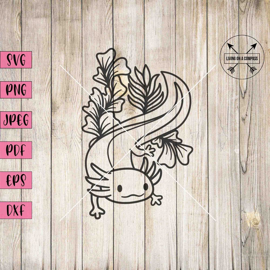 Axolotl Svg, Pink Salamander, Salamander Svg, Amphibian Svg, Amphibian ...