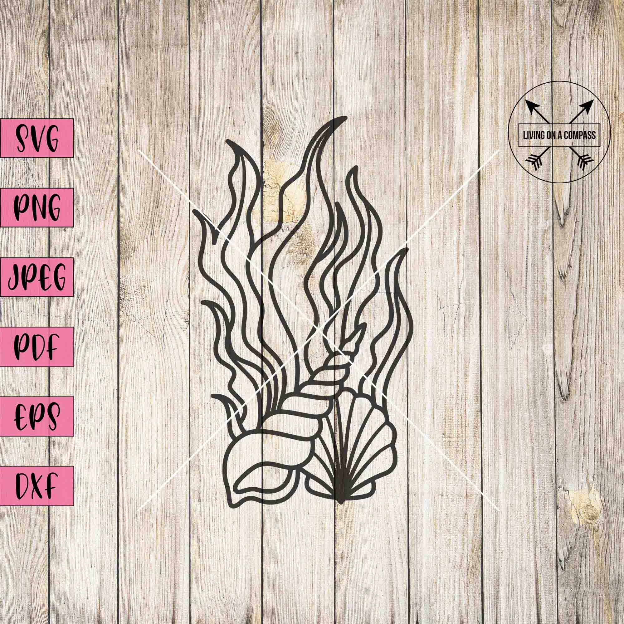 Seashells Svg Seashells Clip Art Seashell Svg Seashell - Etsy