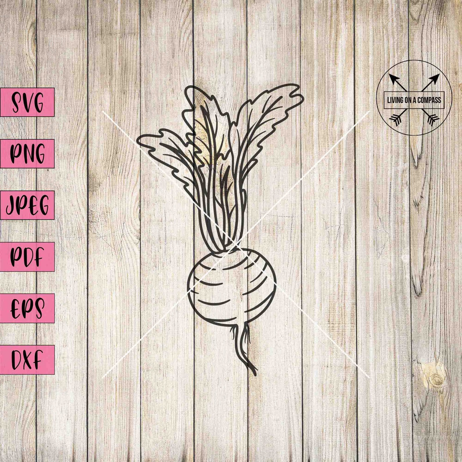 Turnip Svg, Turnip Clipart, Vegetable Svg, Vegetable Clipart, Vegetable ...
