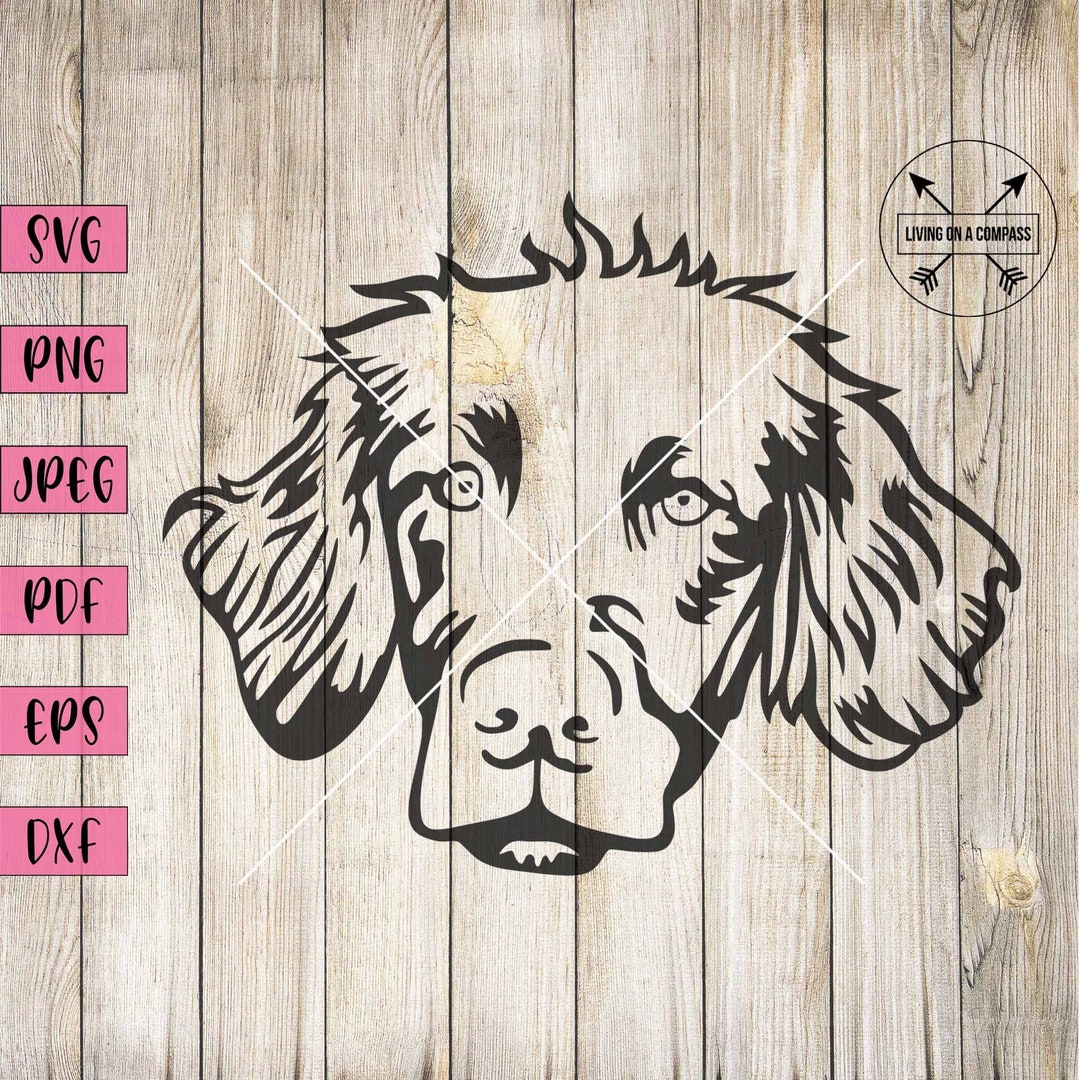 German Longhaired Pointe Svg, Dog Svg, Dog Svg Files, Pointer Dog ...