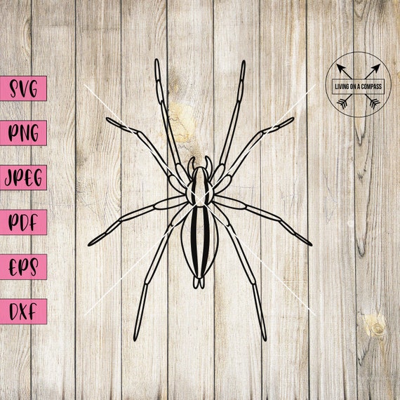 Spider Svg Spider Clipart Spider Svg Halloween Svg - Etsy UK