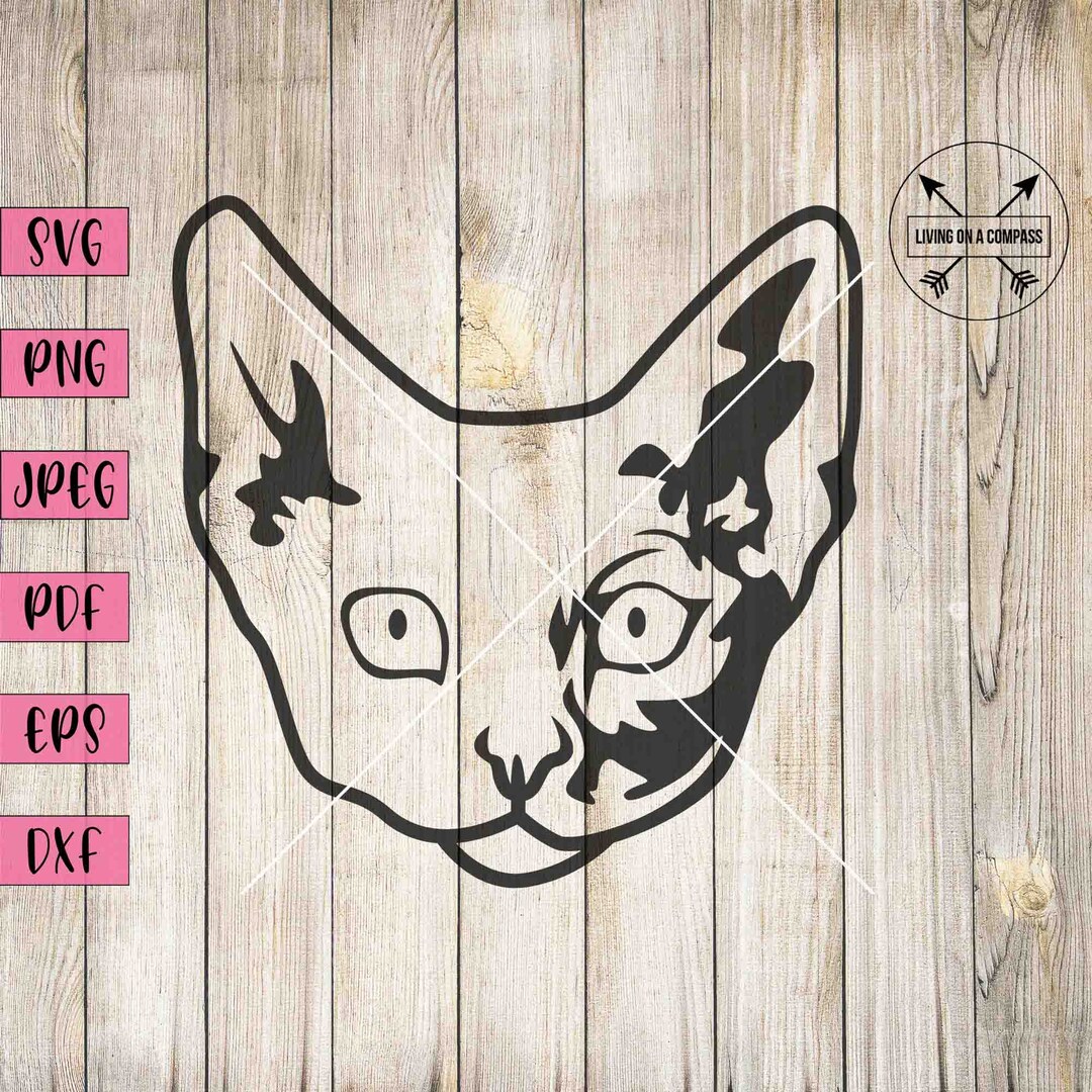 Oregon Rex Cat, Oregon Rex Svg, Cat Svg, Cat Png, Cat Clipart, Black ...