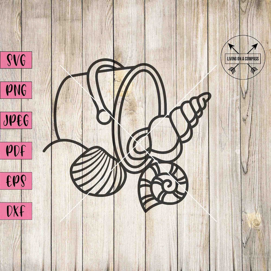 Strand svg, Strand svg, Muschel svg, Muschel Clip Art, Muschel svg ...