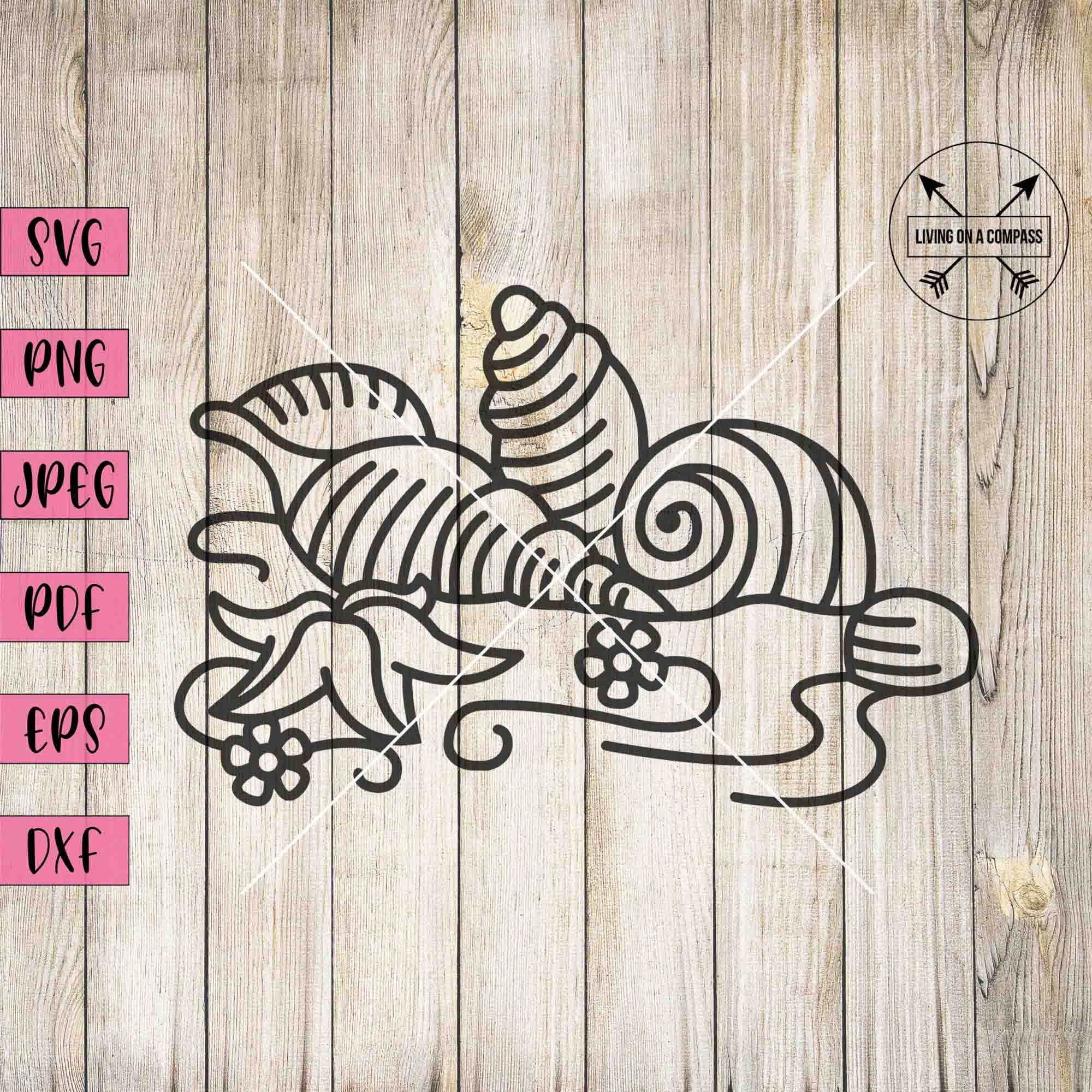 Shell Svg, Seashells Svg, Starfish, Shell Decal, Shell Print, Beach Svg ...
