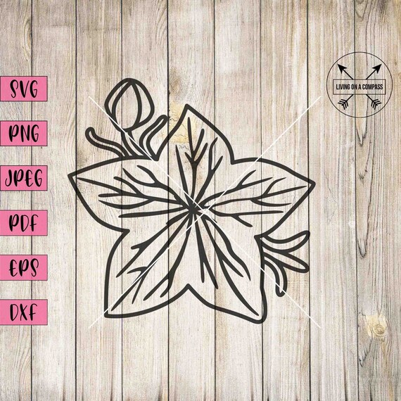 Leaf Svg Leaves Svg Leaves Art Plant Png Plant Sticker - Etsy