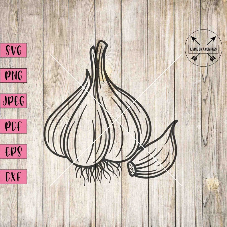 Garlic Svg, Garlic Clipart, Garlic Png, Garlic Cut File, Vegetable Svg ...