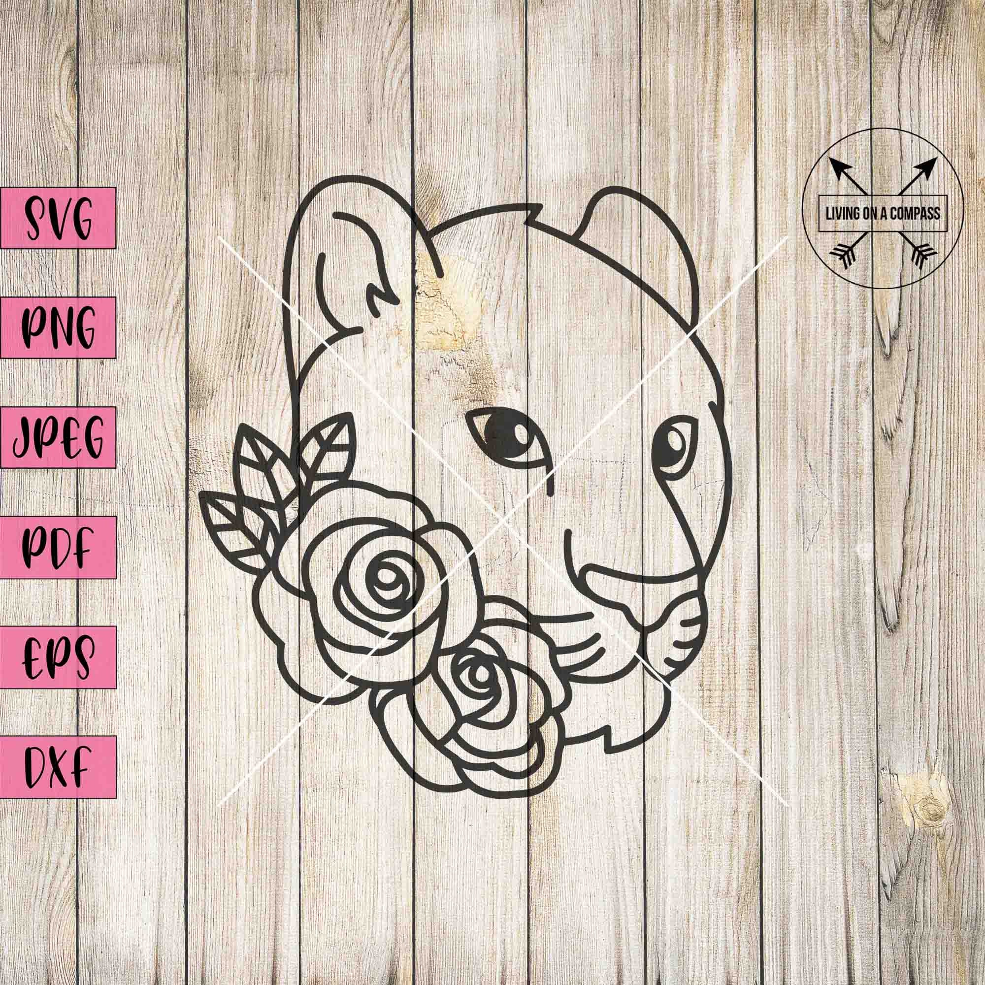 Cougar Svg, Cougar Clipart, Puma Svg, Mountain Lion Svg, Puma Clipart ...