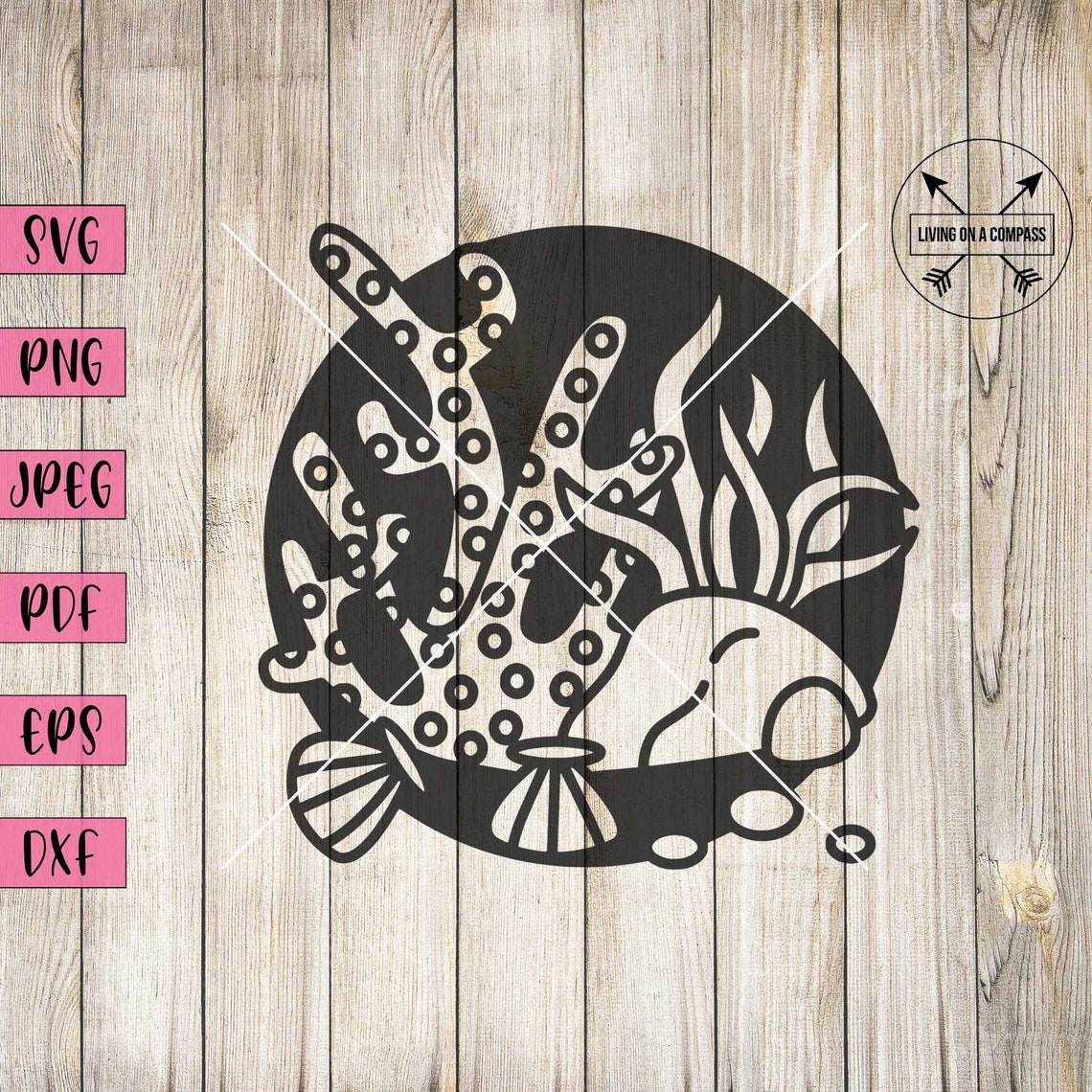Coral Svg Coral Clipart Seaweed Svg Shell Svg Shell Png - Etsy