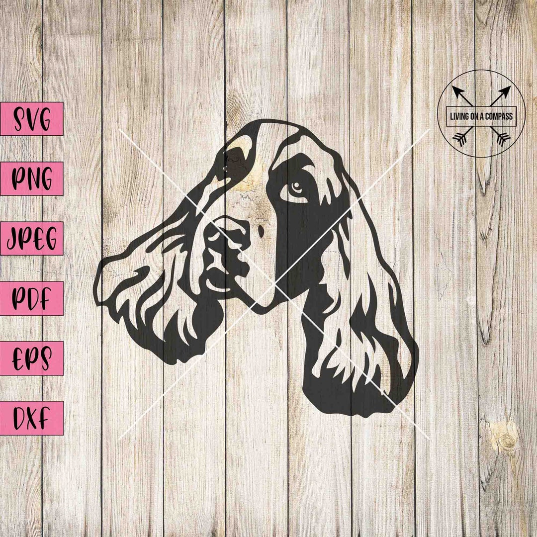 English Springer Spaniel Svg, English Springer Spaniel Art, Springer ...