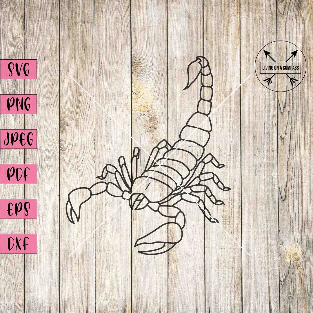 Scorpion Svg, Scorpion Png, Scorpion Clipart, Insect Svg, Animal Svg ...