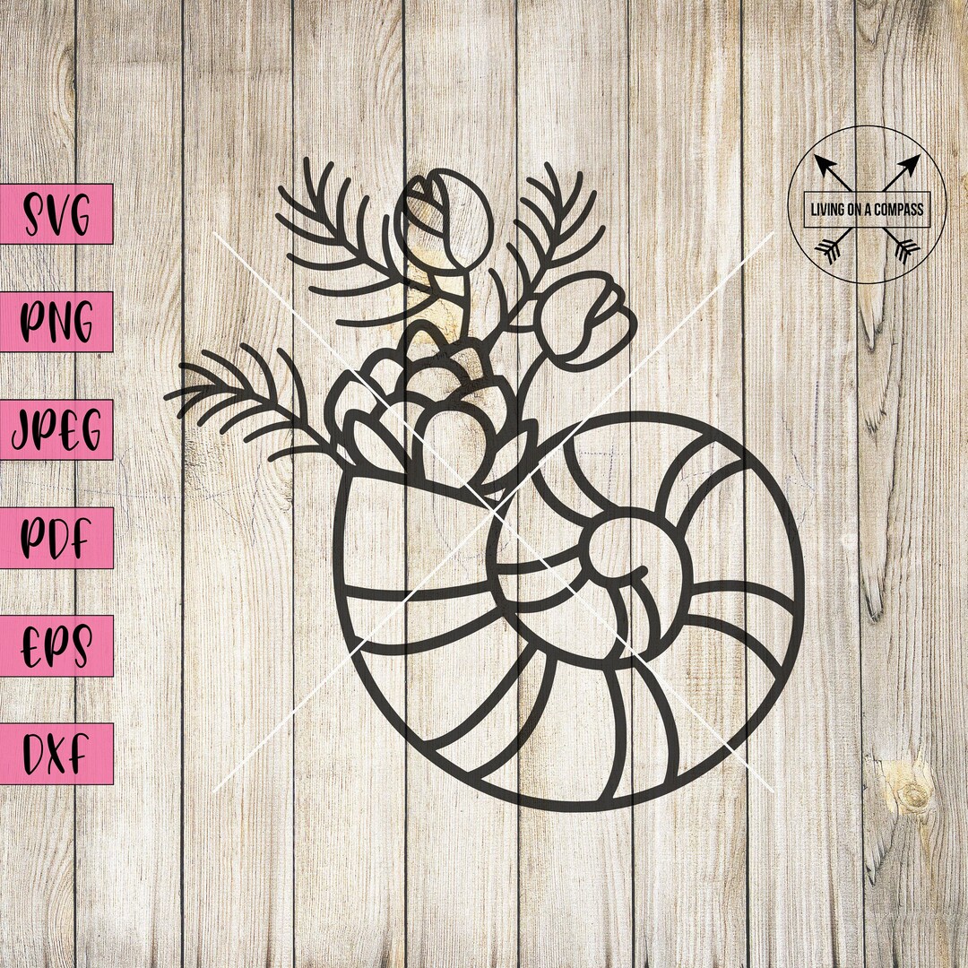 Muschel svg, Muschel png, Muschel svg, Muschel svg, Muschel Clipart ...