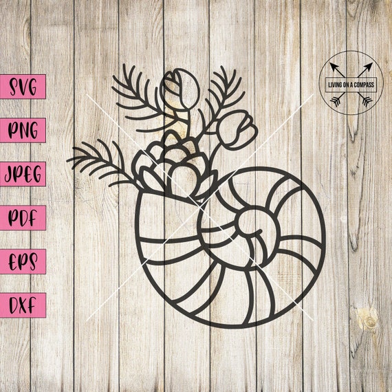Shell Svg Shell Png Shell Wall Art Shell Art Shell Print - Etsy