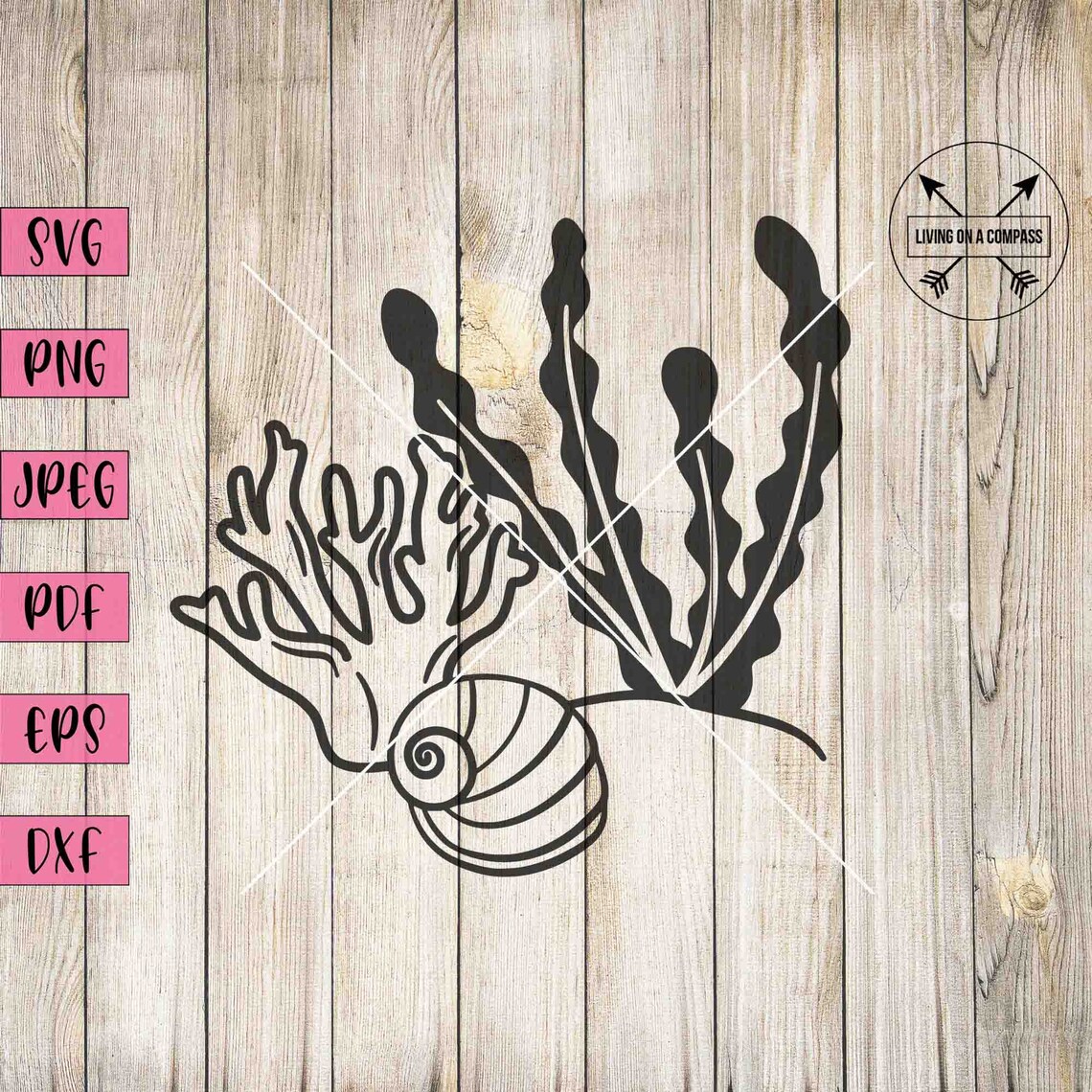 Under the Sea Svg, Seashell Svg, Shell Svg, Coral Svg, Coral Clipart ...