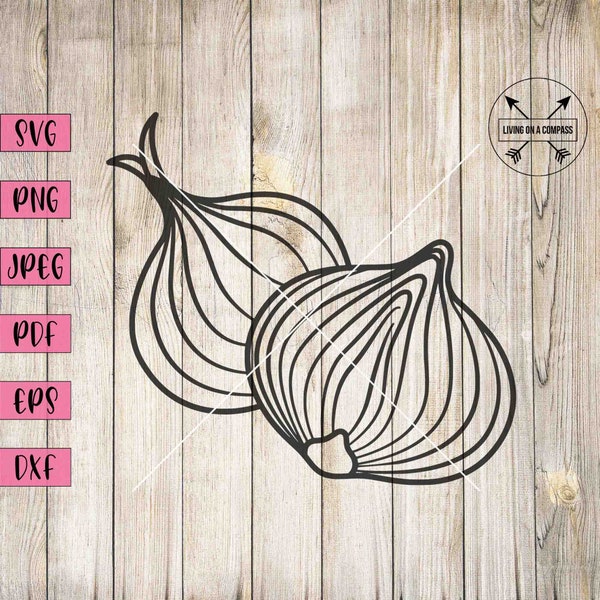 Onion Decal - Etsy