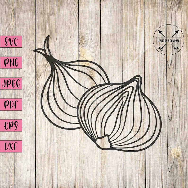 Onion Svg, Onion Clipart, Onion Cut File, Vegetable Svg, Vegetable ...