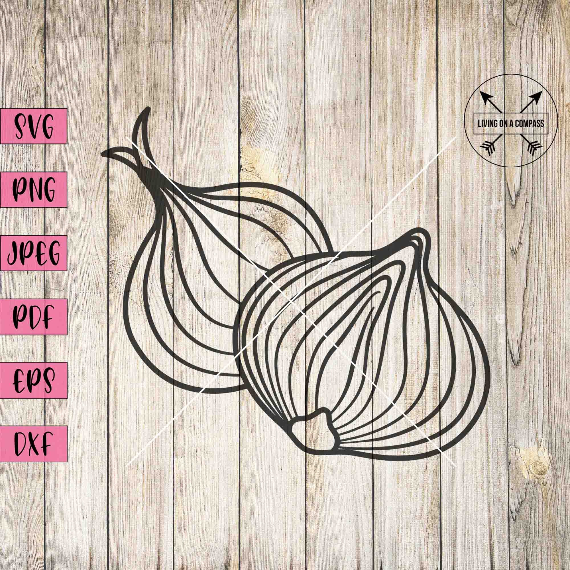 Onion Svg, Onion Clipart, Onion Cut File, Vegetable Svg, Vegetable ...