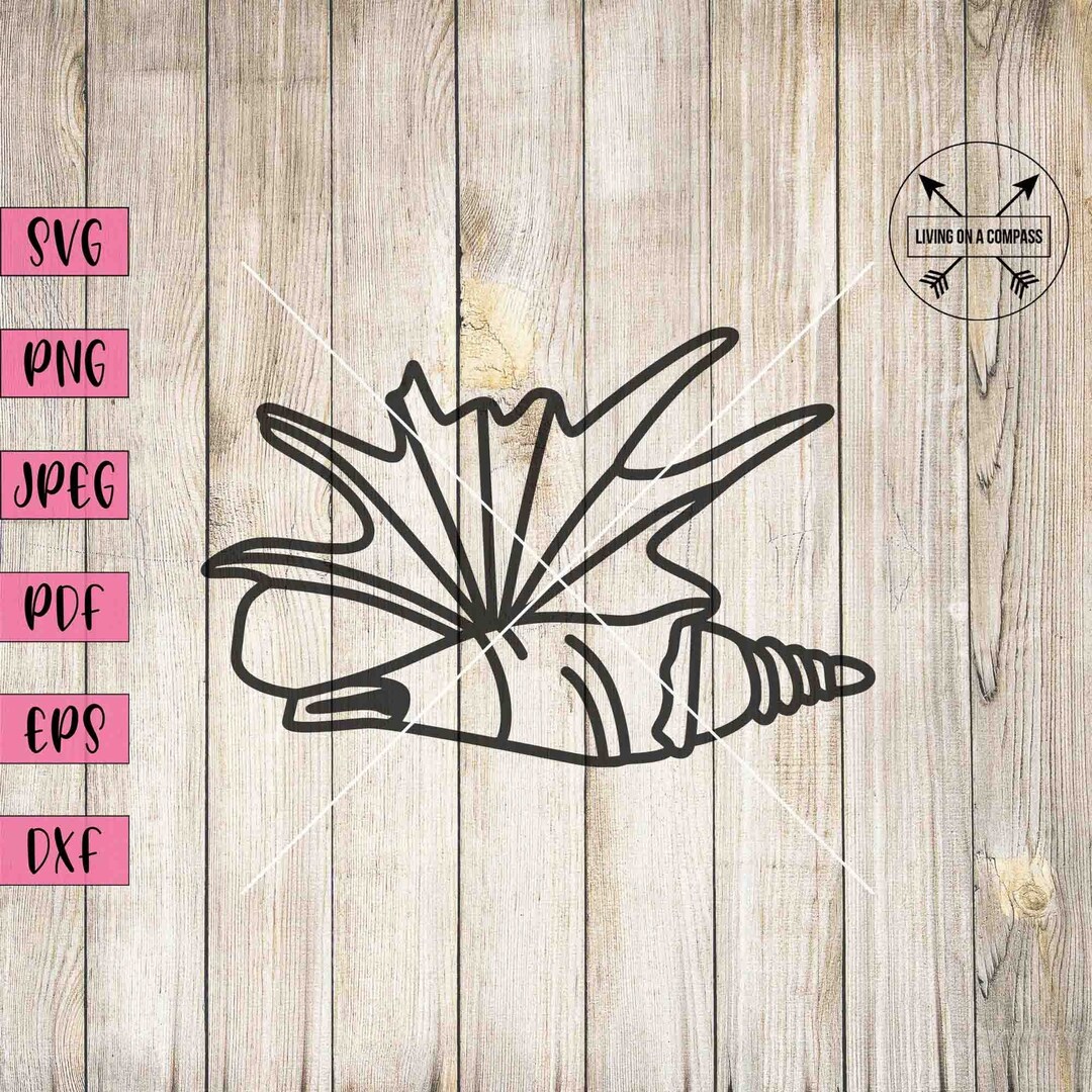 Spiky Shell Svg, Seashell Decor, Seashell Clipart, Beach Svg, Beach ...
