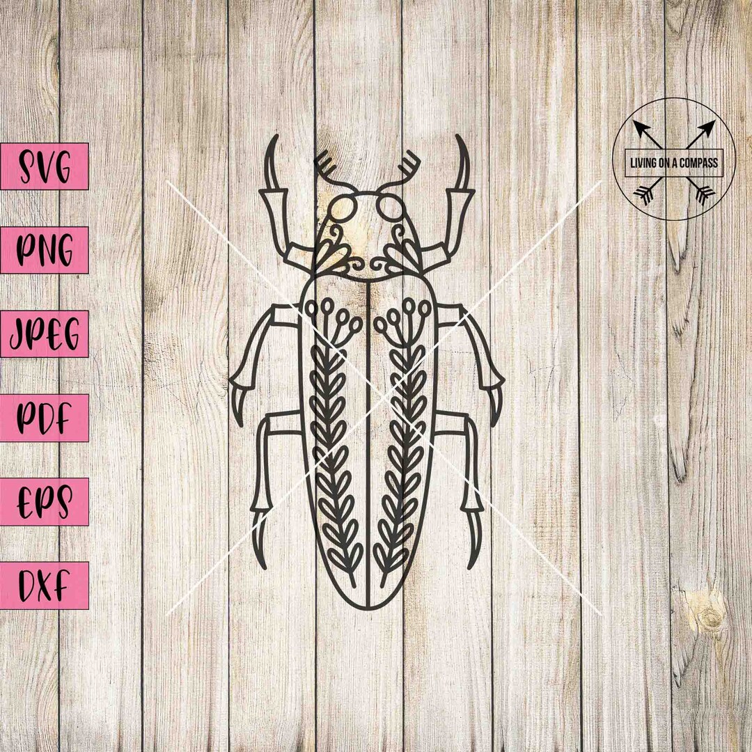 Beetle Svg, Beetle Clipart, Bug Sticker, Bug Clipart, Bug Print, Bug ...