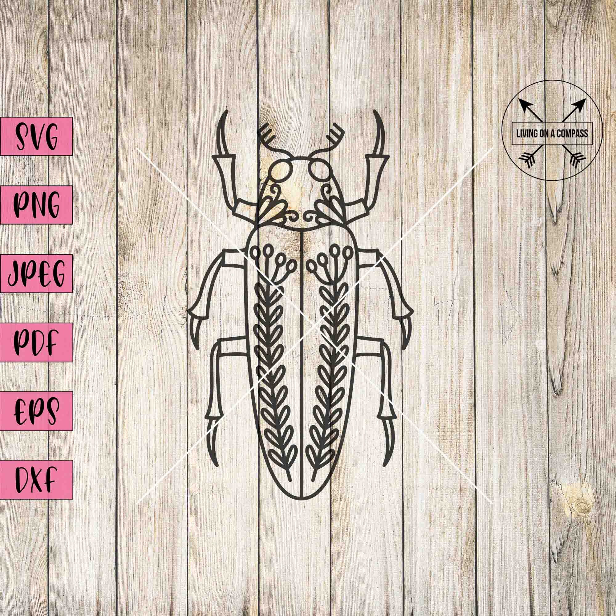 Beetle Svg, Beetle Clipart, Bug Sticker, Bug Clipart, Bug Print, Bug ...