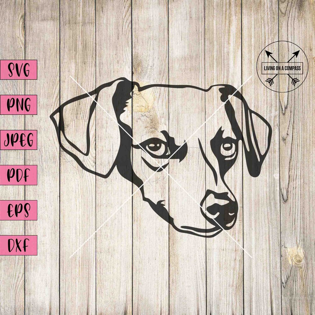 Chiweenie Svg, Mother of Chiweenie, Dachshund Svg, Sausage Dog Designs ...
