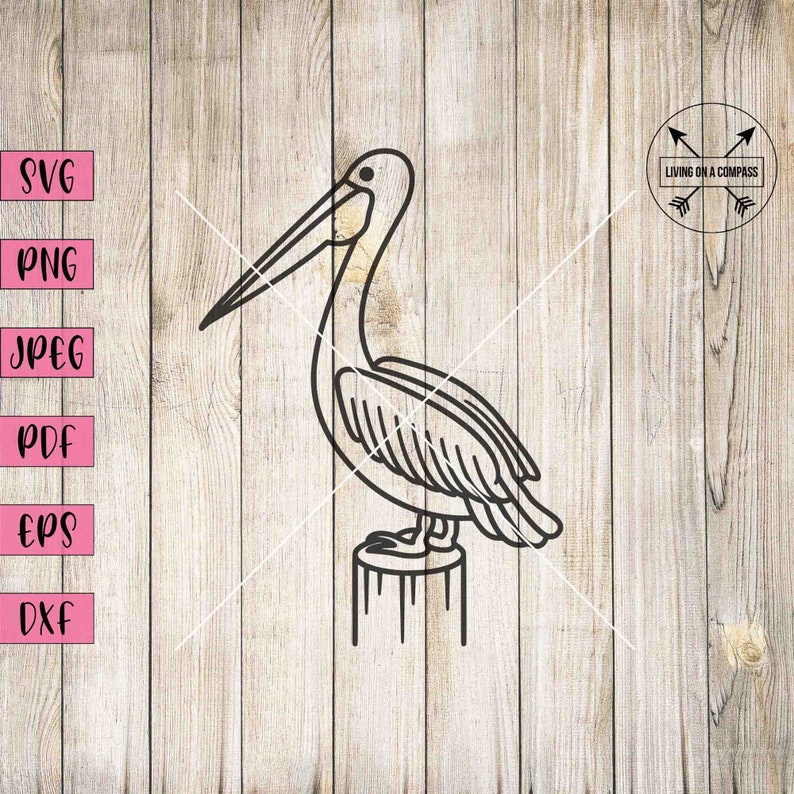 Pelican Svg, Pelican Png, Pelican Clip Art, Pelican Decal, Bird Svg ...