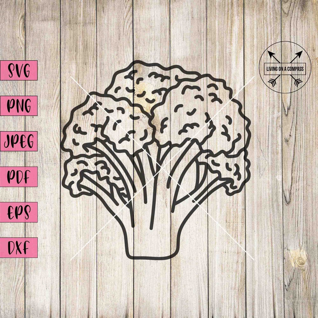 Broccoli Svg Broccoli Clipart Vegetables Png Fruits - Etsy