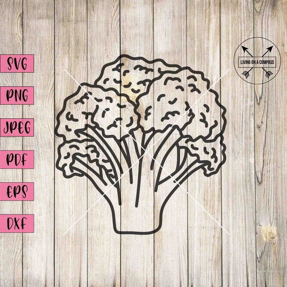 Broccoli Svg Broccoli Clipart Vegetables Png Fruits - Etsy