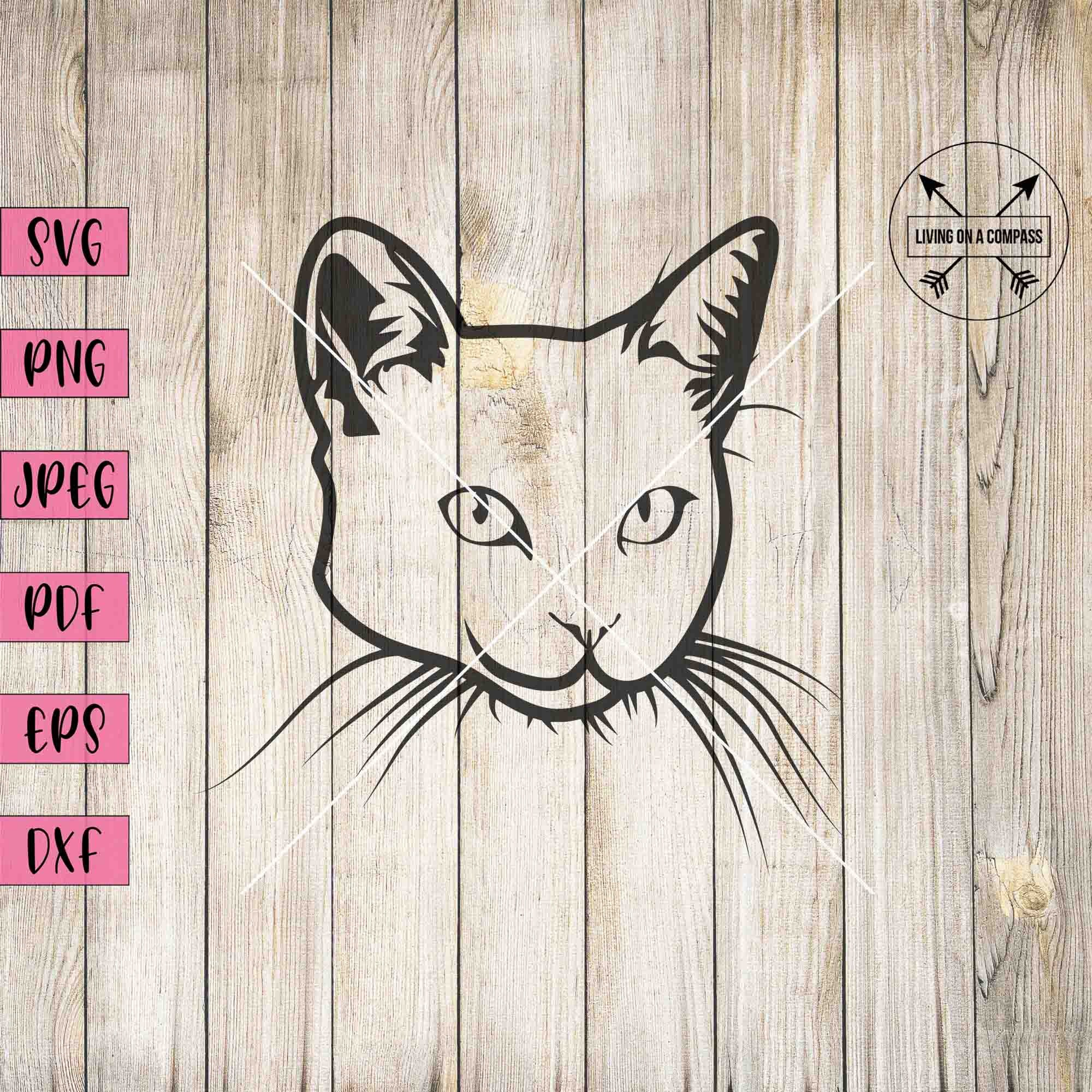 Thai Cat Svg Korat Cat Svg Cat Svg Cat Clipart Tabby Cat - Etsy