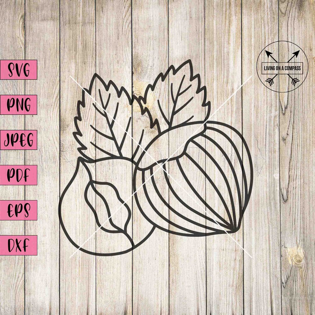 Chestnut Svg, Chestnut Clipart, Chestnut Decor, Nuts Clipart, Nuts Svg ...