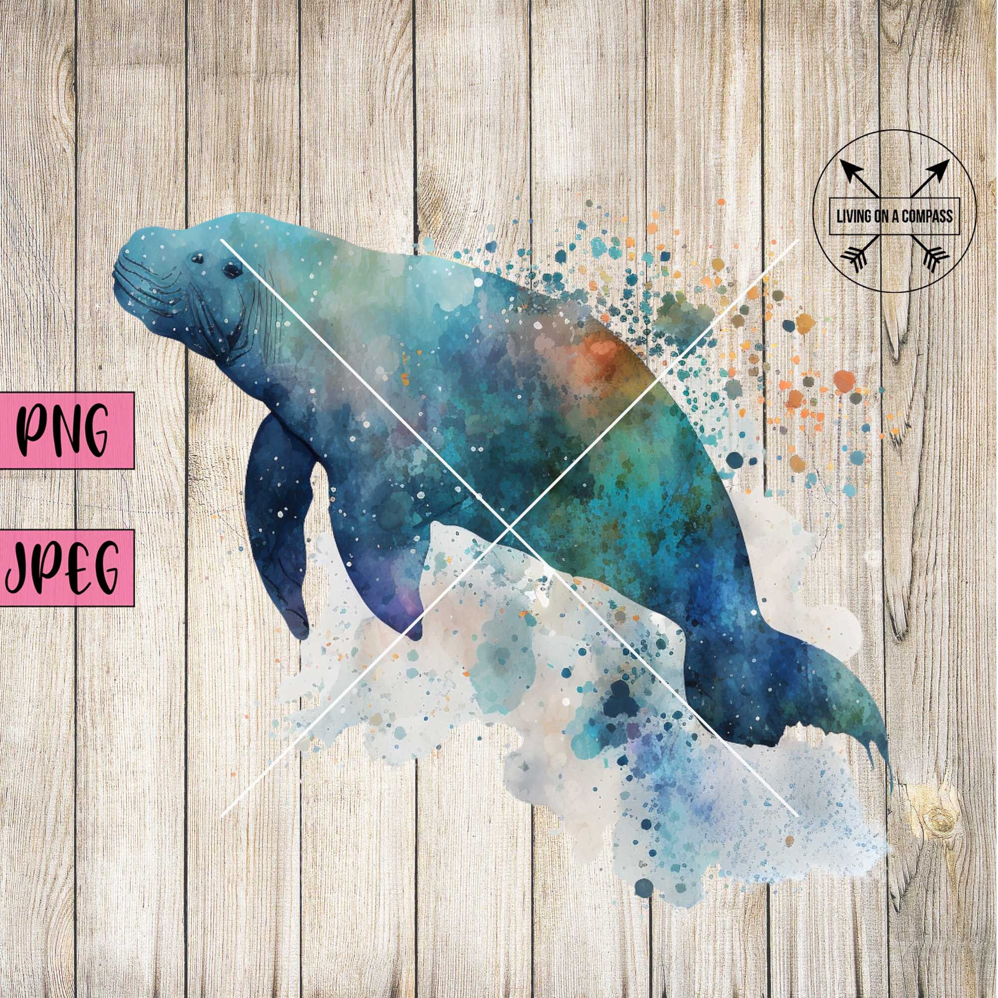 Manatee PNG, Manatee JPEG, Manatee Digital Download, Manatee Heat Press ...