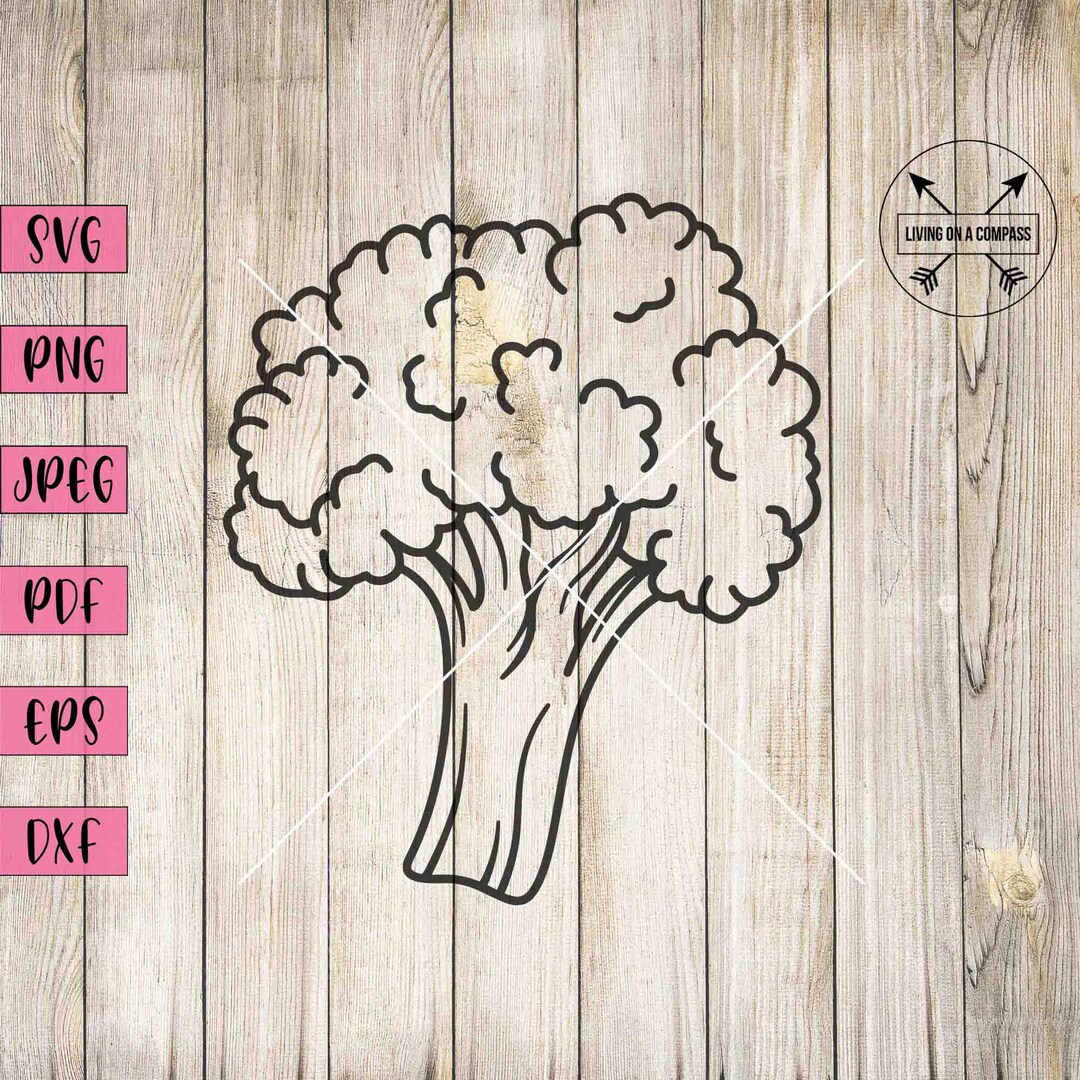 Broccoli Svg, Broccoli Clipart, Vegetables Png, Fruits Vegetables ...