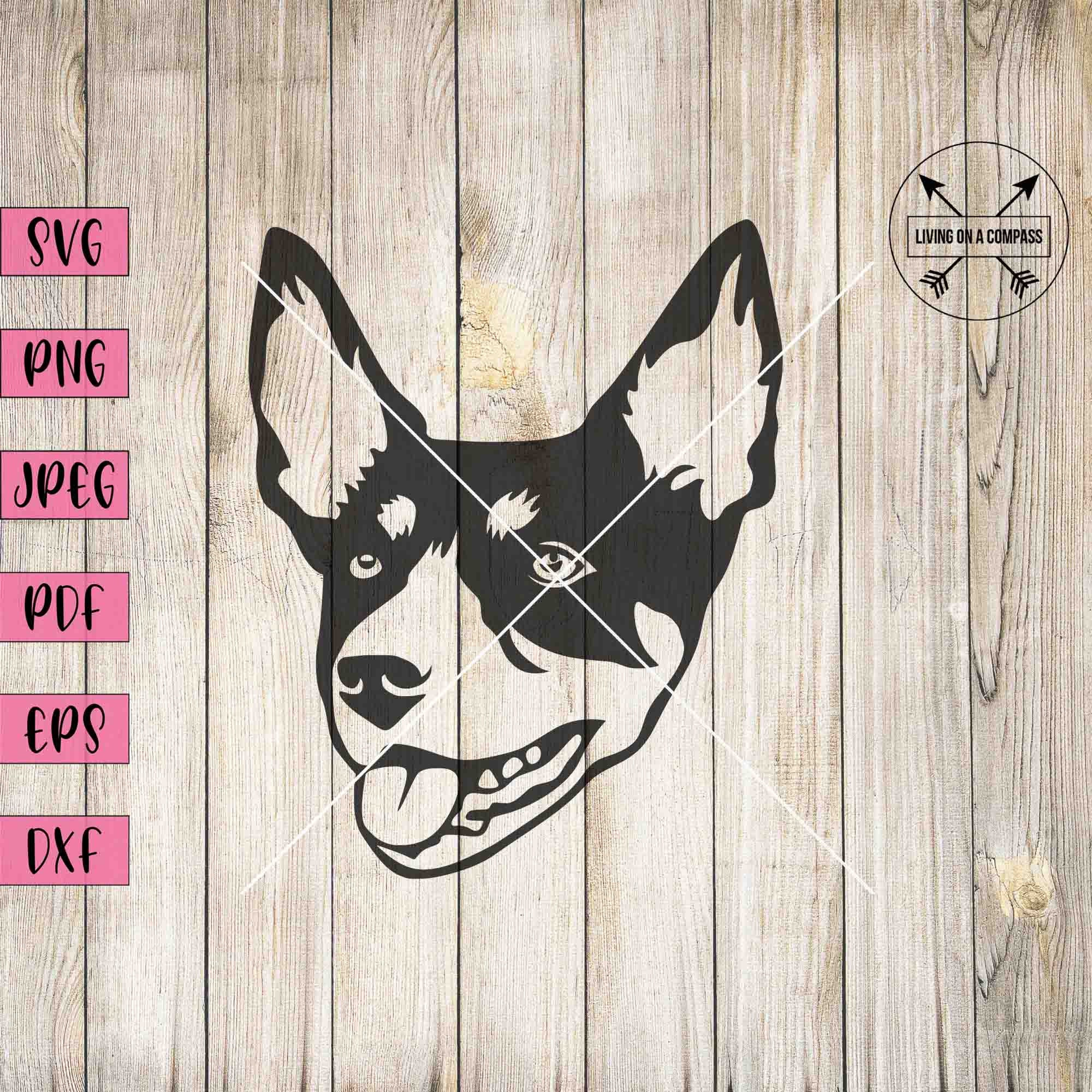 Australian Kelpie Svg, Australian Kelpie Art, Australian Kelpie, Kelpie ...