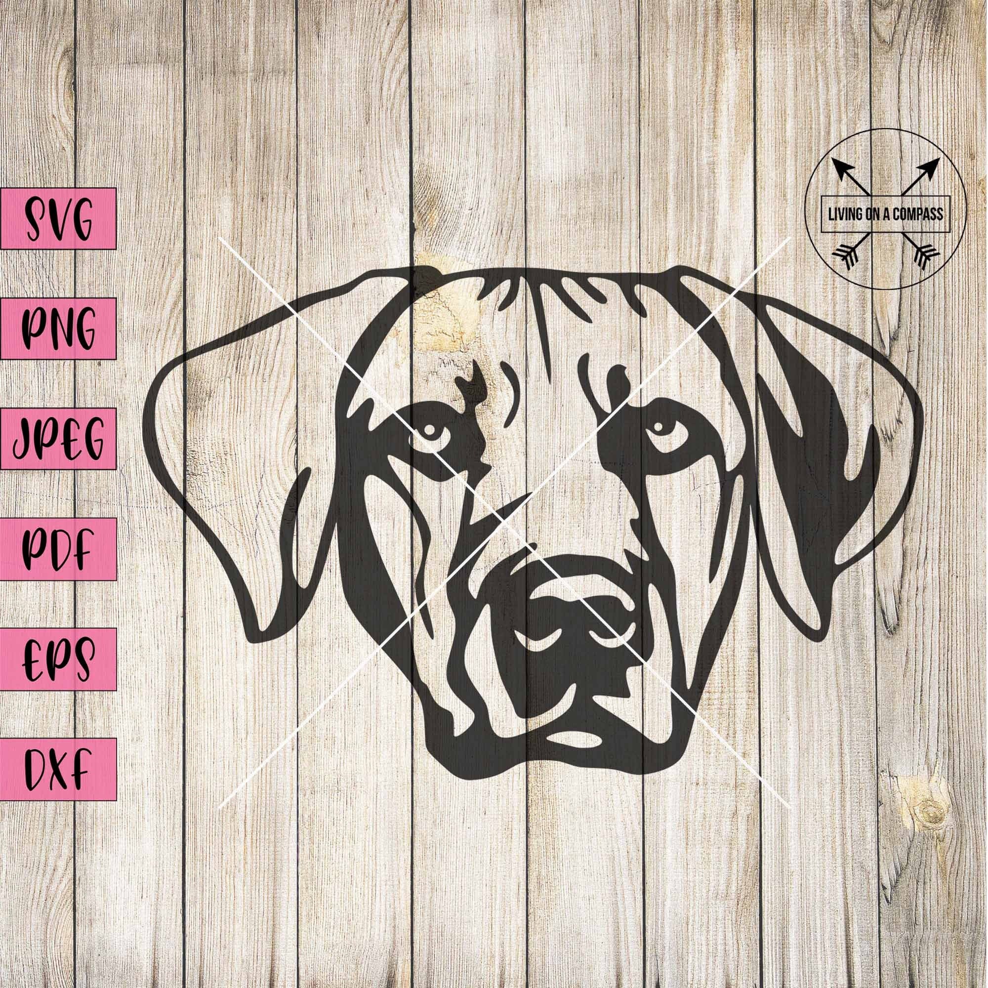Rhodesian Ridgeback Svg Dog Svg Dog Svg Files Rhodesian - Etsy