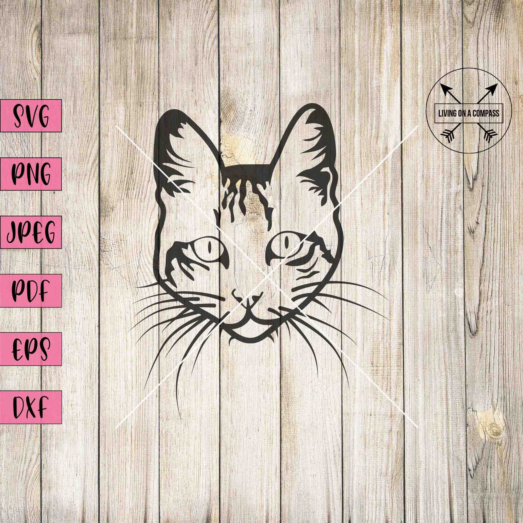 Serrade Petit Svg Cat Svg Cat Clipart Tabby Cat Svg Cat - Etsy