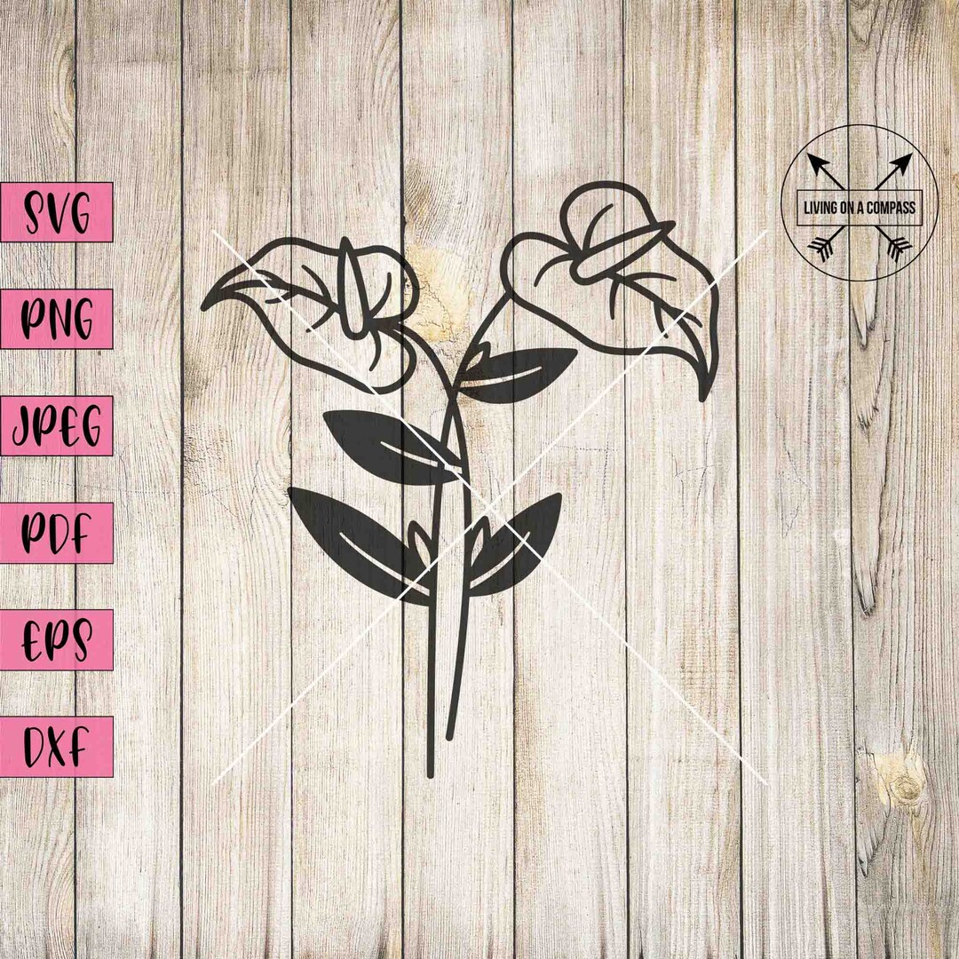Anthurium Svg, Flower Svg, Flowers Svg, Spring Flower Clipart, Spring ...