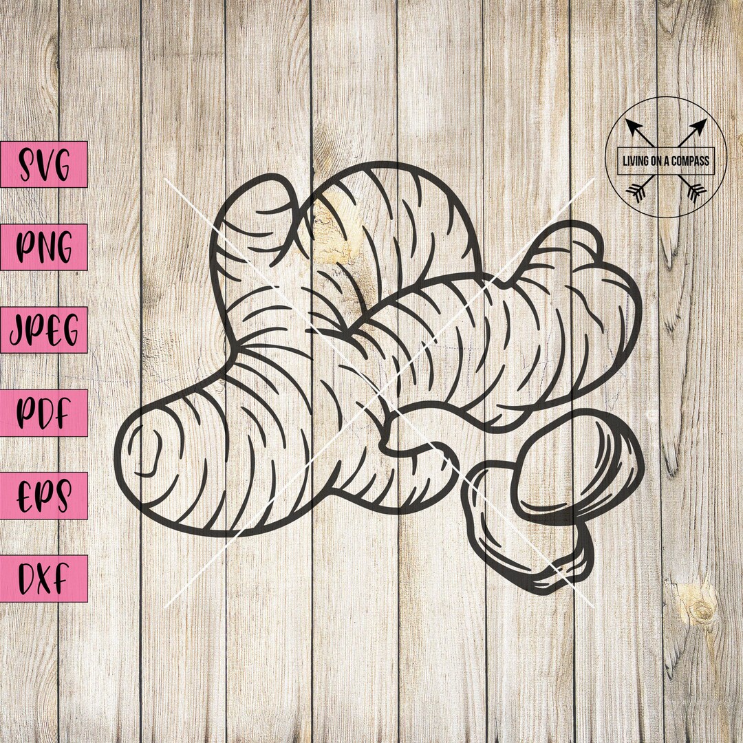 Ginger Svg, Ginger Png, Ginger Clipart, Ginger Cut File, Vegetable ...