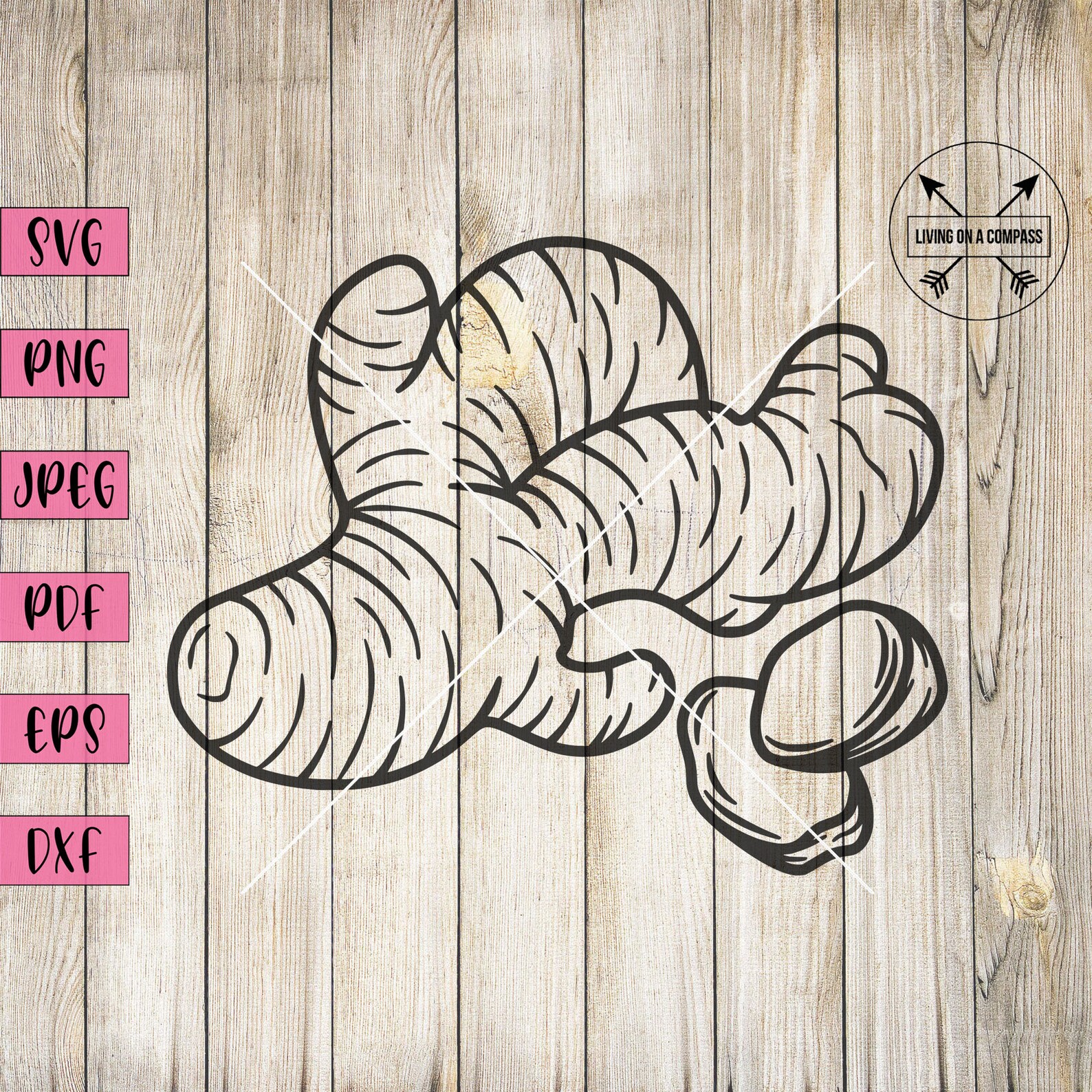 Ginger Svg Ginger Png Ginger Clipart Ginger Cut File - Etsy Canada