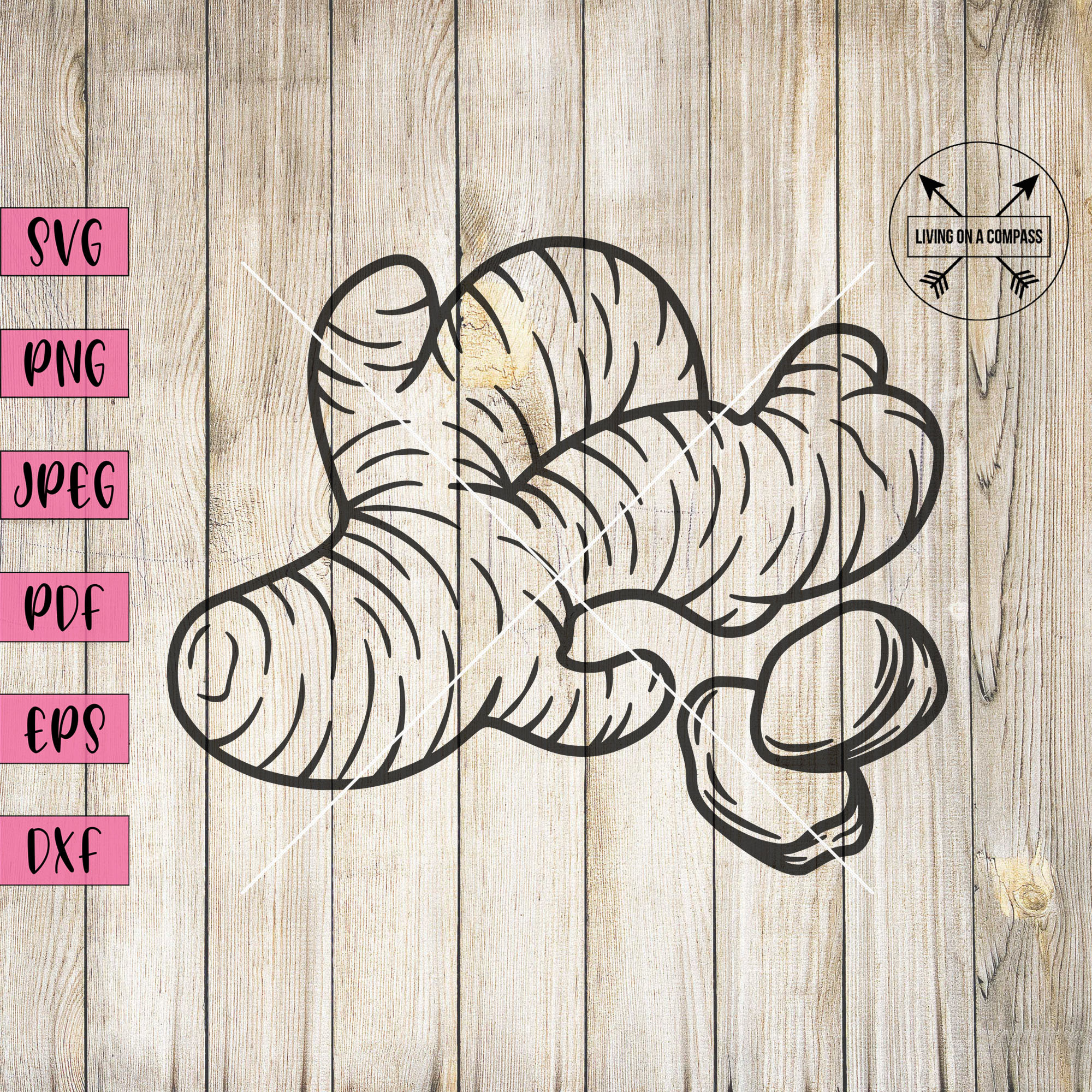 Ginger Svg, Ginger Png, Ginger Clipart, Ginger Cut File, Vegetable ...